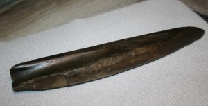 Not Just Any Rock … | Bird⋅The⋅Rock